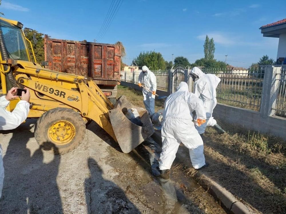Απουσία σχεδίου για τα κουφάρια στα χωράφια - ThessaliaNews